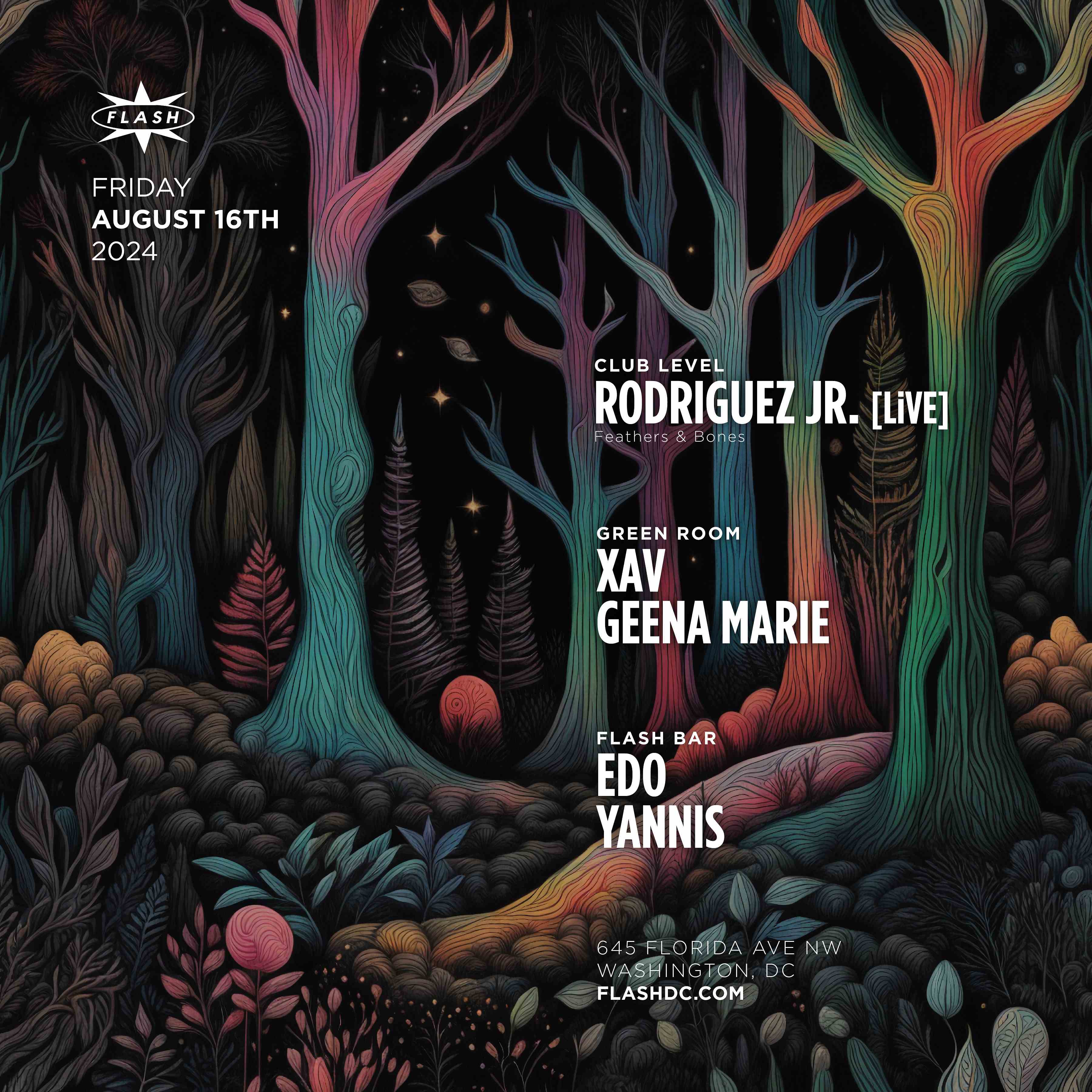 Flash: Nightclub and Bar - Washington DC